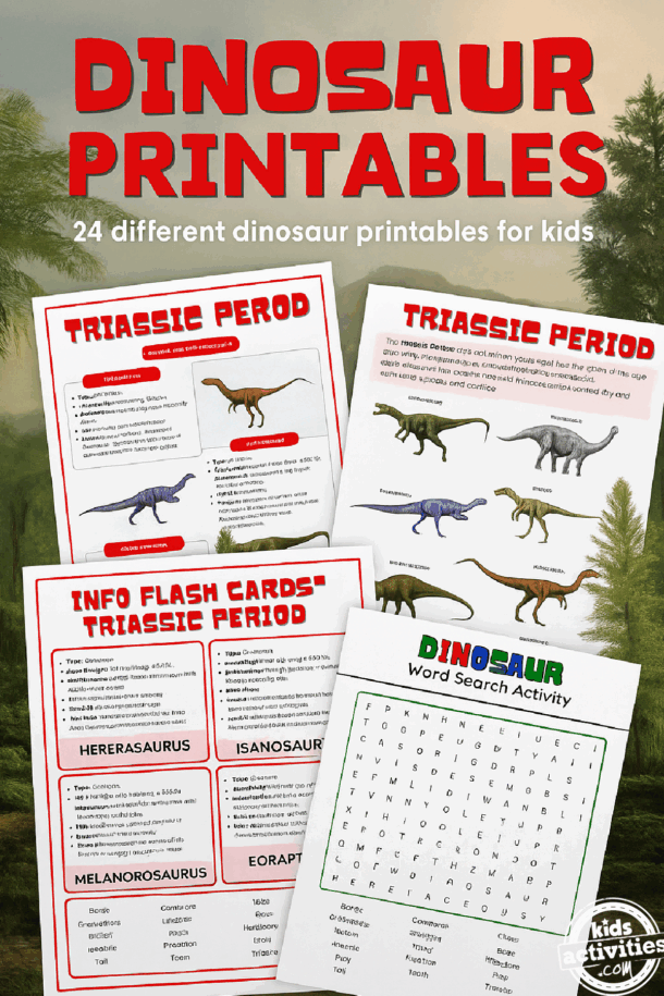 How To Make A Compass with Cork & Needle | Kids Activities Blog