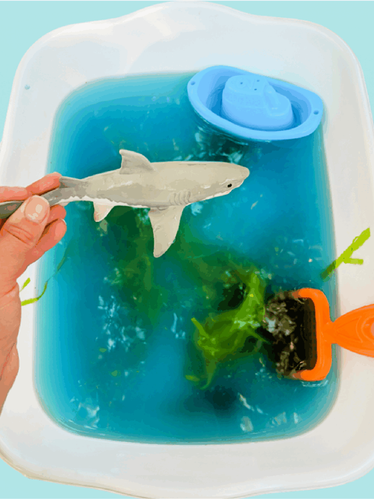 Shark Week Fun: Shark Sensory Bins For Toddlers and Preschoolers | Kids ...