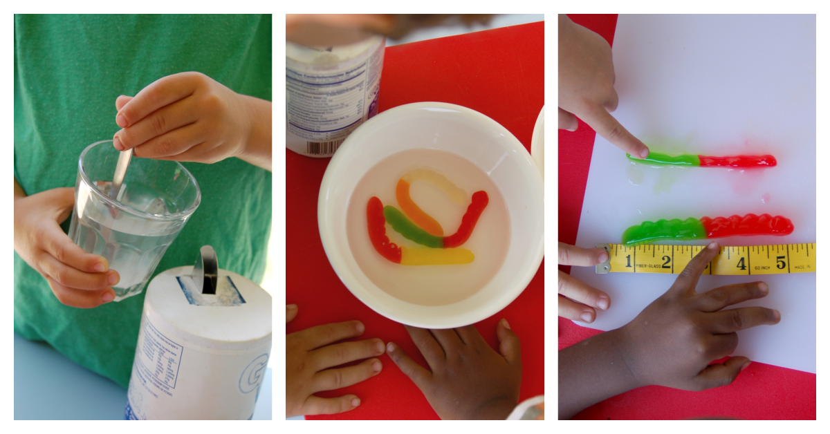 Candy Chemistry: Growing Gummies Experiment For Kids Kids Activities Blog