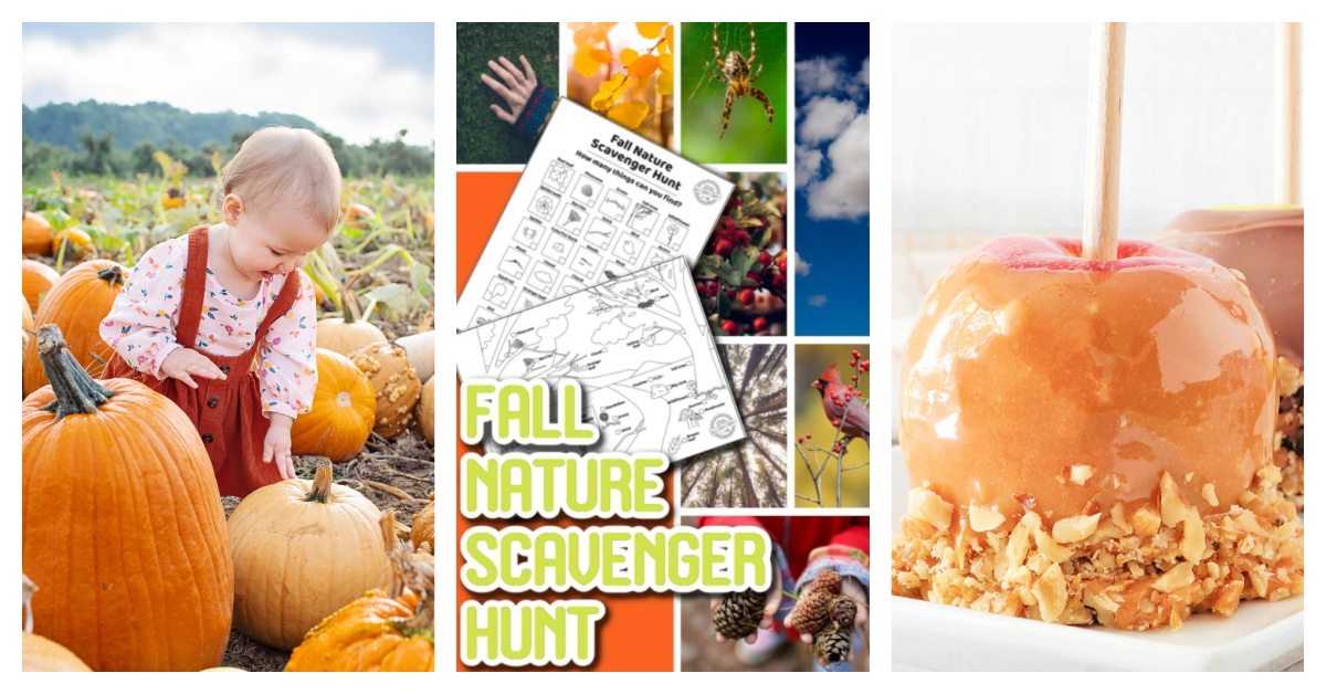 Fall Fun Without the Frights: Halloween Alternatives the Whole Family ...